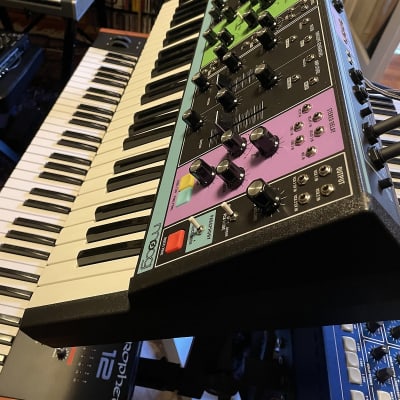 Moog Matriarch 49-Key Semi-Modular Analog Synthesizer 2019 - | Reverb
