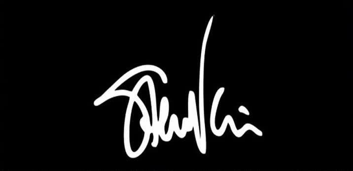 Sticker Vinyl White Autograph Steve Vai Guitar Vinyl | Reverb