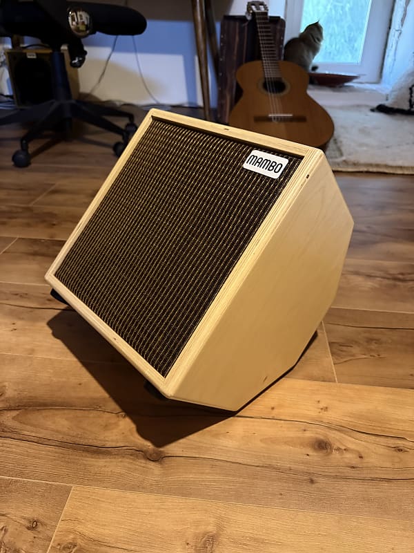 Mambo jazz amp 10' 200 watts | Reverb