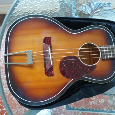 1960's Kay Cello Guitar - CGDA Tuning - 24" Scale - Irish | Reverb