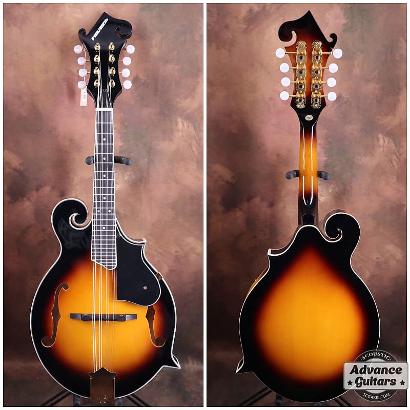 Playtech PFM10F | Reverb