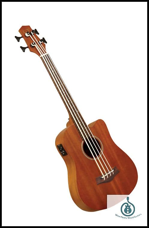 Gold Tone M-BASS25 25-Inch Scale Acoustic-Electric MicroBass | Reverb