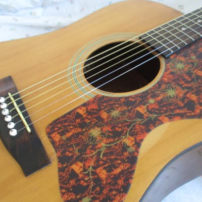 SaeHan Sunghan Korea (Vester) acoustic dreadnought guitar | Reverb