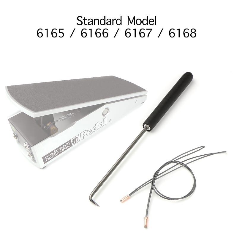 Ernie Ball Lifetime String Replacement Kit for Ernie Ball | Reverb