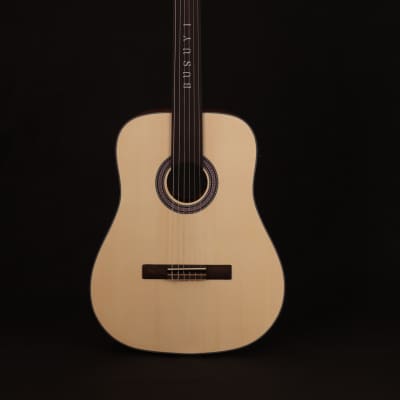 6 Strings Fretless Classical/ 12 String Acoustic Double | Reverb