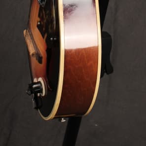 Vintage Lindell Mandolin(Electric) | Reverb