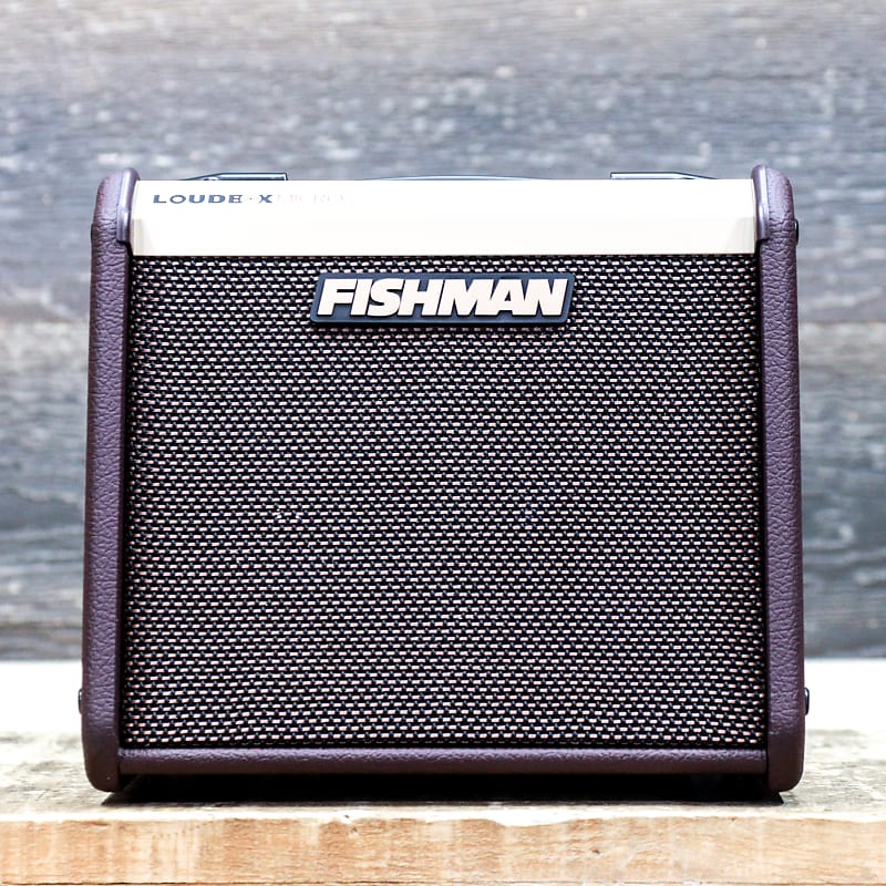 Fishman Loudbox Micro 40W 2-Channel Acoustic Guitar | Reverb Australia