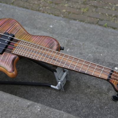 Mayones Cali 4 Mini Bass 2022 | Reverb
