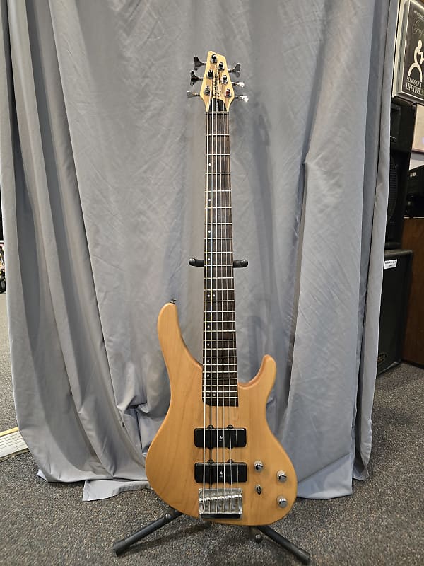 Washburn XB-600 - Natural | Reverb