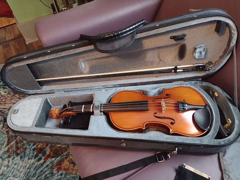 Samuel Eastman VA100 2008 14" Viola with case extras | Reverb