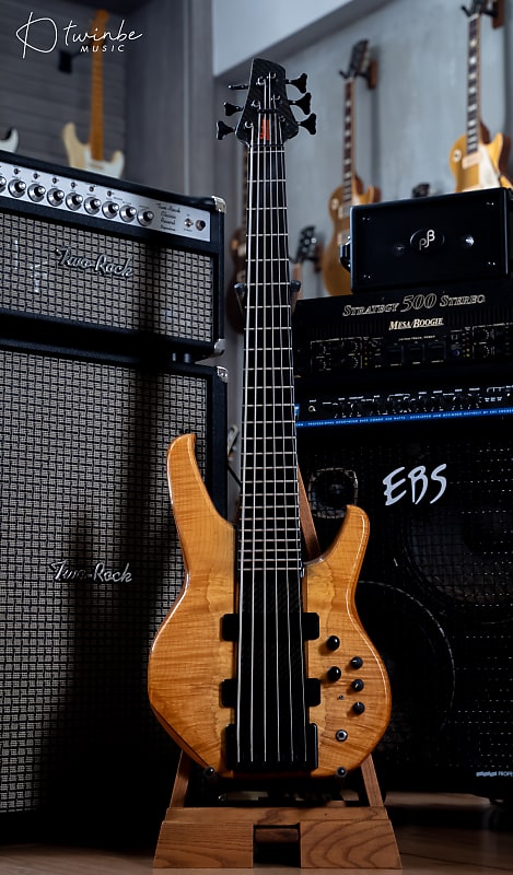 Status Empathy 6 Bass | Reverb