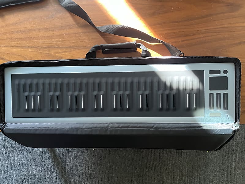 ROLI Seaboard Rise 2 2023 | Reverb