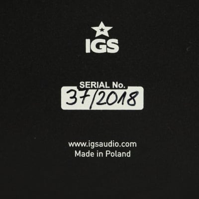 IGS Springtime Analog Studio Spring Reverb Effects Processor | Reverb