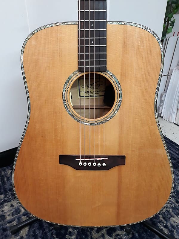Harvest D900 w/ Anthem pickup and case- Consignment | Reverb
