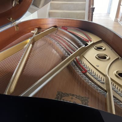 Yamaha C3 Conservatory Grand Piano | Reverb