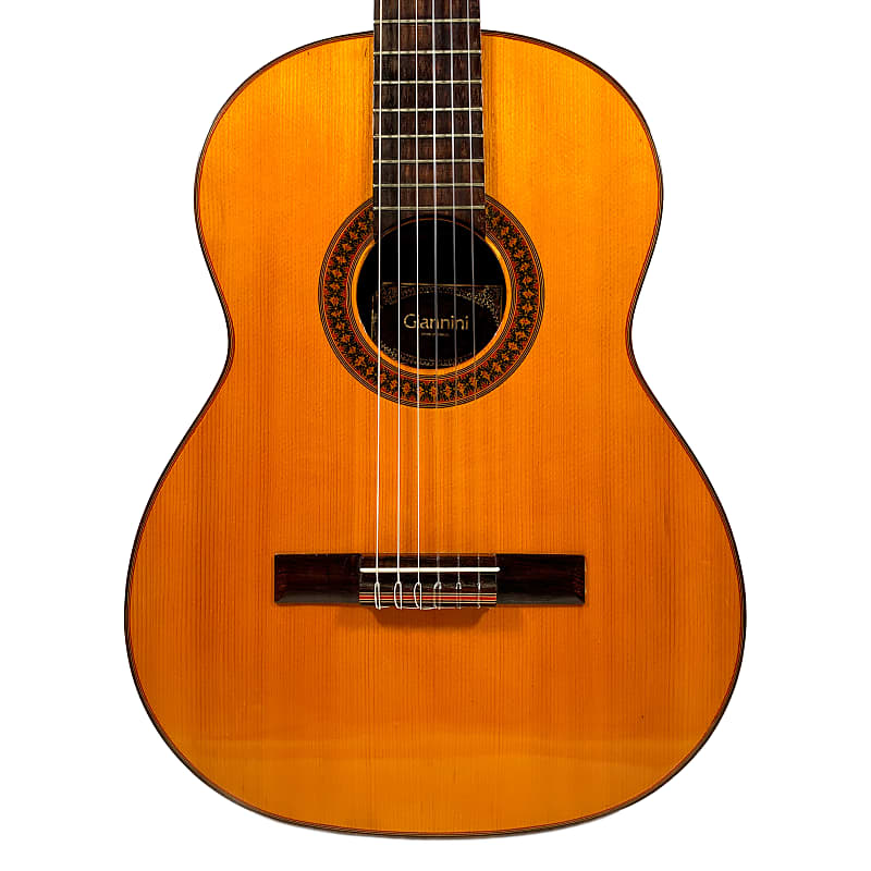 Giannini AWNM-3 from 1977 | Reverb