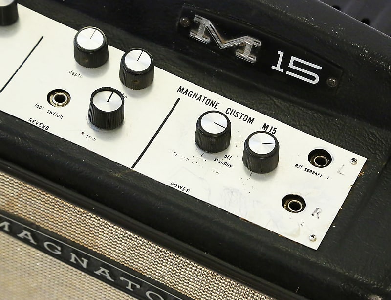 Magnatone M15A Custom Series 2-Channel 38-Watt 2x12" Stereo | Reverb