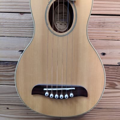 Used Washburn ROVER | Reverb