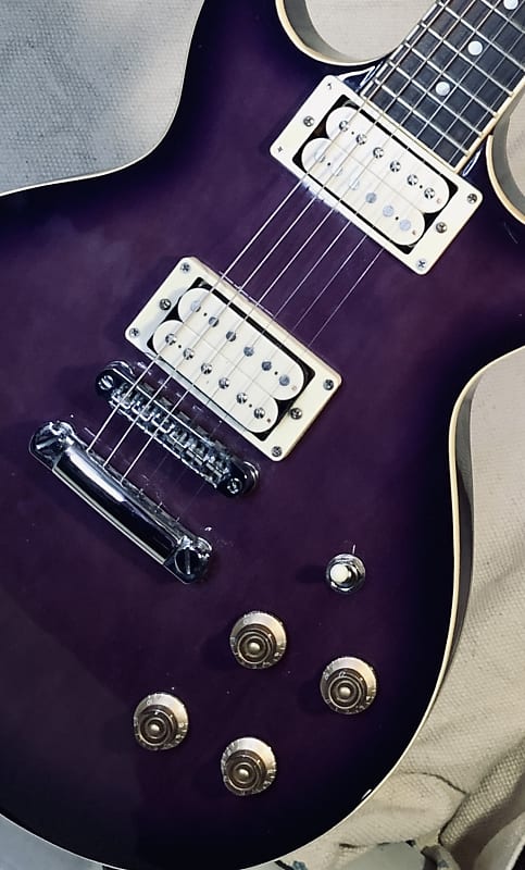 Jay Turser JT-200 Professional Double Cutaway Purple | Reverb