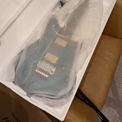 Firefly FFMN EVH tribute *RARE* | Reverb