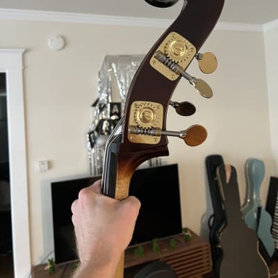 Upton Bass UB Standard Hybrid Double Bass - Includes: | Reverb