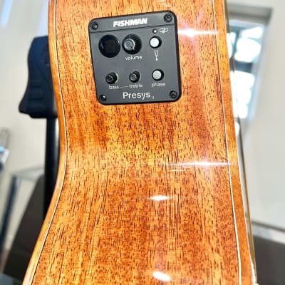 Firefly GA01-E Acoustic/Electric Guitar | Reverb