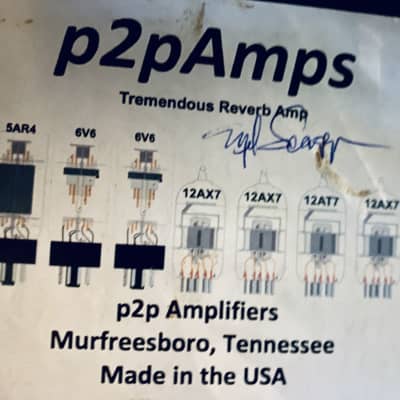 "Tremendous Reverb" 1x12 Combo by P2P Amplifiers - Princeton | Reverb
