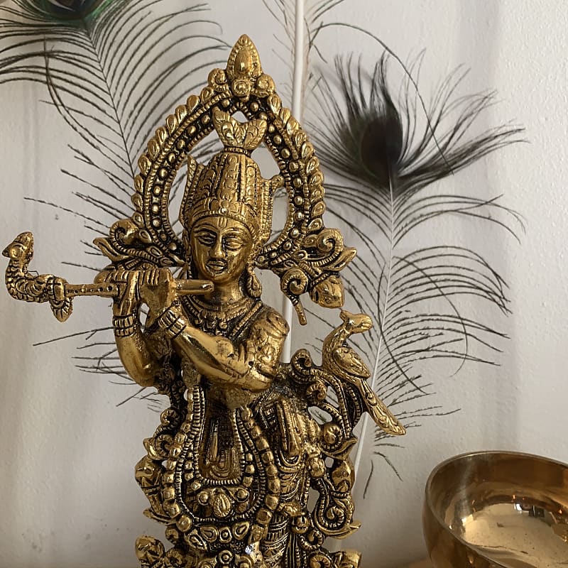 Native instruments Expansions bundle 2022 18 expansions | Reverb