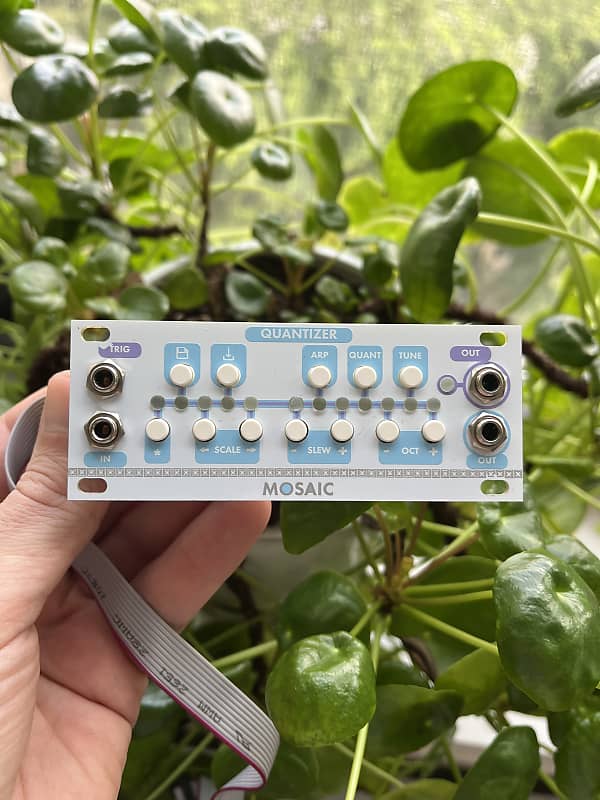 Mosaic Quantizer 1u intellijel | Reverb