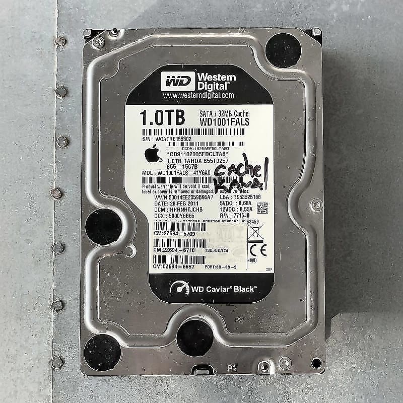 Western Digital 1 TB Internal Hard Drive 7200RPM HDD | Reverb