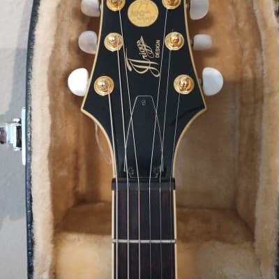 MIK 2001 Cort TRG-2 Jim Triggs Hollowbody NAMM 100th | Reverb