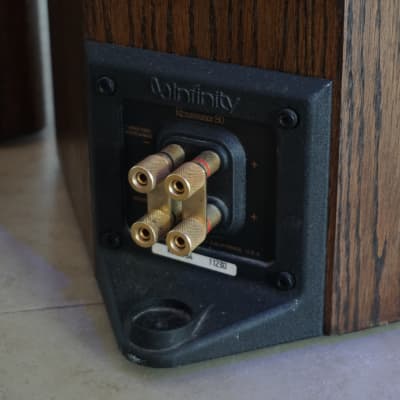 Infinity Renaissance 80 Tower Floor Speaker | Reverb