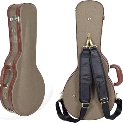 Antares Vintage Mandolin AMD 25 - Natural | Reverb