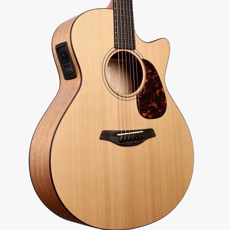 Furch Blue Master's Choice Gc-CM with Stage Pro Element Cedar | Reverb