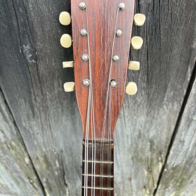 Lyon and Healy Italian Style Bowlback Mandolin Brazilian | Reverb
