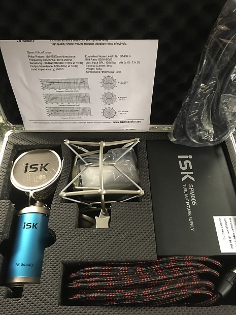 iSK Pro Audio 2B Beauty Multi-Pattern Tube Condenser | Reverb