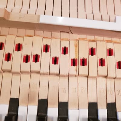 88 Mint unused Fender Rhodes keys for the 88 or 73 key | Reverb