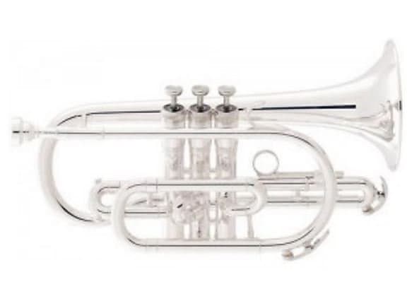 King 605WSP Student Cornet, Silver Plated | Reverb