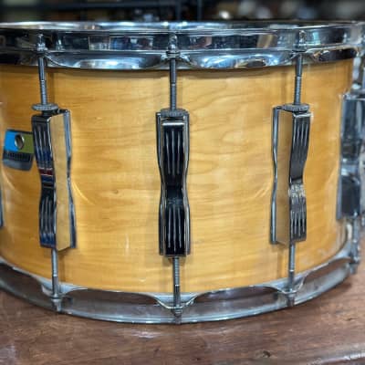 Ludwig Coliseum 1981 Thermogloss 8"x14" Snare Drum | Reverb