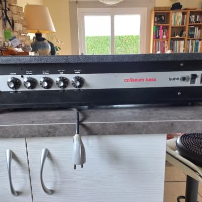 Sunn Coliseum Milieu 1970 | Reverb