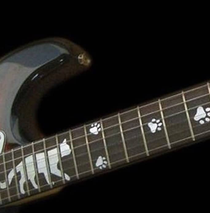 Cats and foot White Stickers Inlay Fret Markers Stickers | Reverb