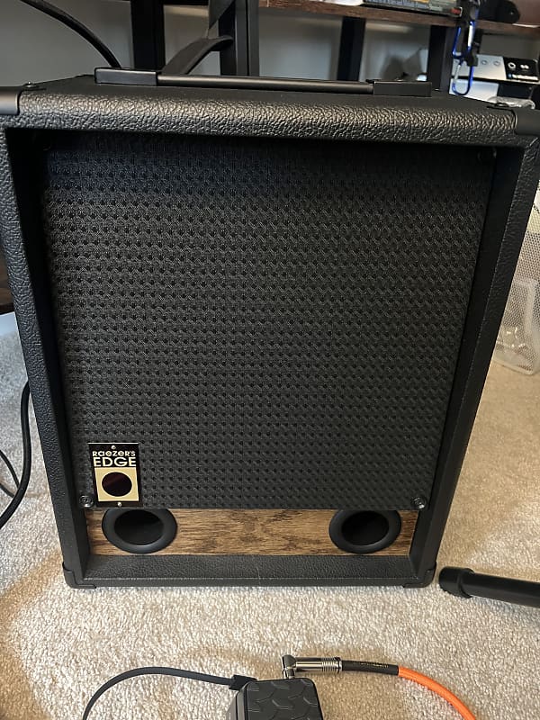Raezer’s Edge Stealth 10 Cabinet with Cover | Reverb