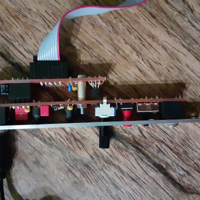 Ginkosynthese Mic - Condenser Module - Built, with mic! | Reverb