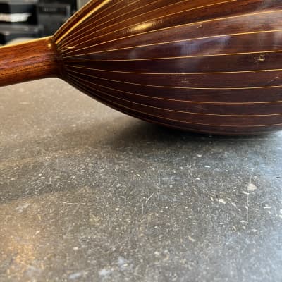 Washburn Style 225 Bowl Back Mandolin Project w/ Orig Case | Reverb