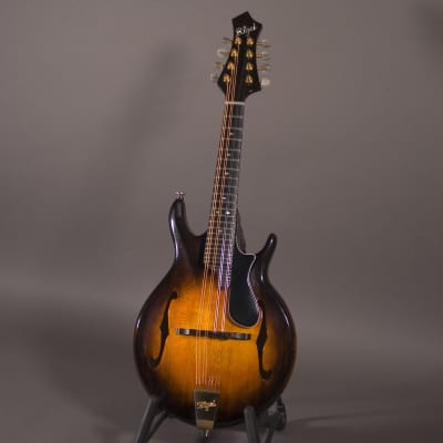Rigel G-110 Mandolin | Reverb