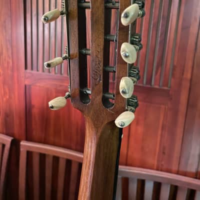 Douglas & Co. Museum Quality Zither 7-String Banjo Circa 1910 | Reverb