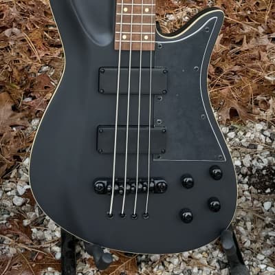 Waterstone Sam Hill 2-string bass 2022 Matte Black | Reverb