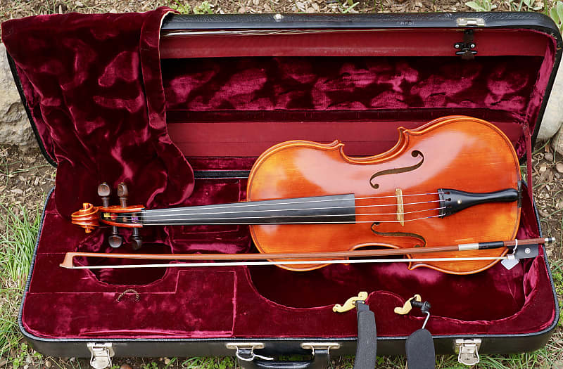 Viola Case | Reverb