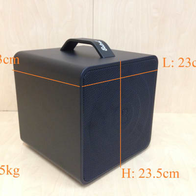 Belcat 40Watt Rechargeable Acoustic | Reverb Australia