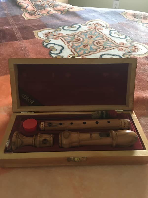 ADEGE recorder. Engelbert Terton 1982 - Olive Henry Gohen - | Reverb